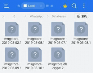 How to Restore Deleted WhatsApp Chat History on AndroidJihosoft
