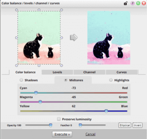 Photo Color Editor: How to Change Colors in a Photo Online