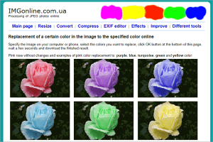 Photo Color Editor: How to Change Colors in a Photo OnlineJihosoft