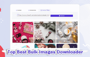 Best Batch Image Downloader to Download Images in Bulk